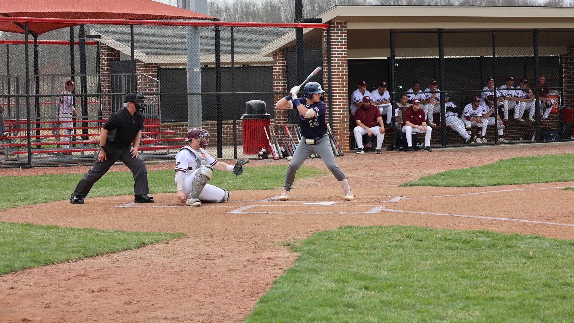 Caden Contant - Baseball - Clarion Athletics