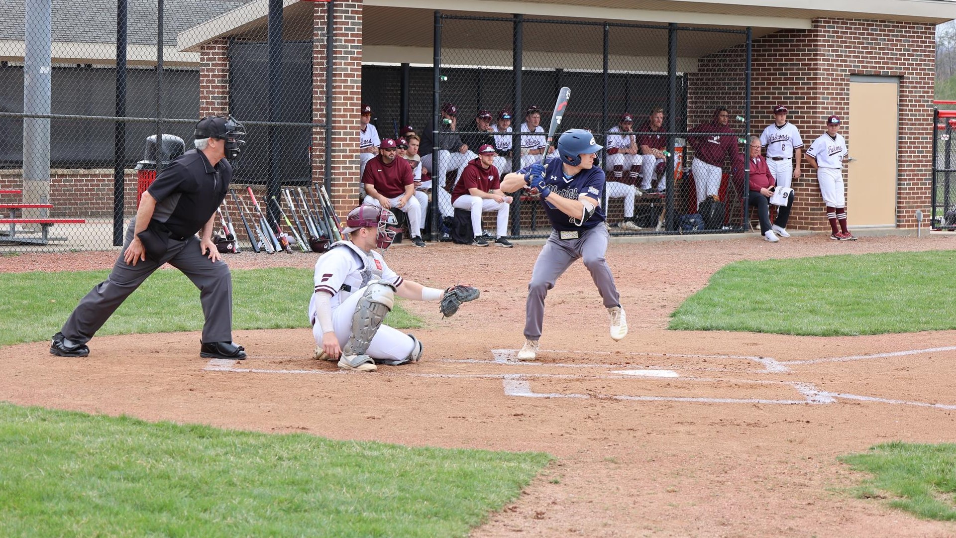 Sam Economy - Baseball - Clarion Athletics