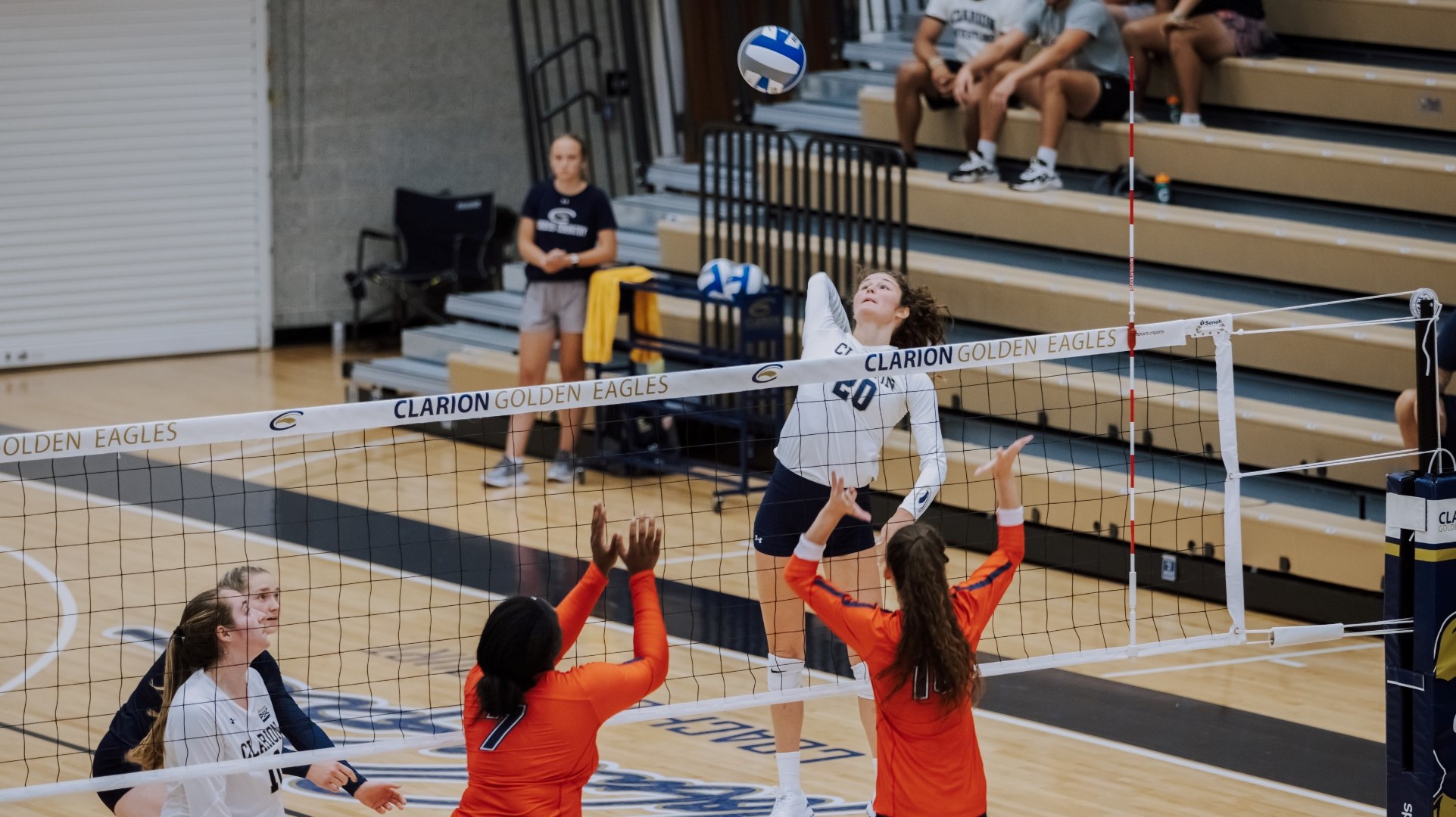 Cassidy Snider - Volleyball - Clarion Athletics