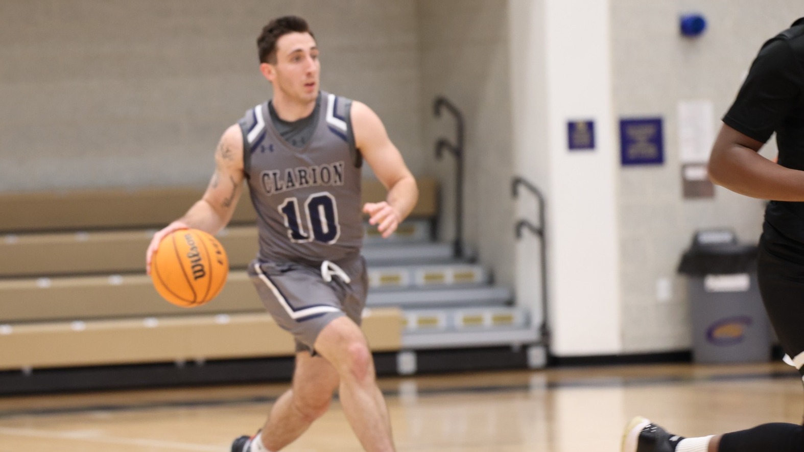 Steve Kelly - Basketball (Men's) - Clarion Athletics