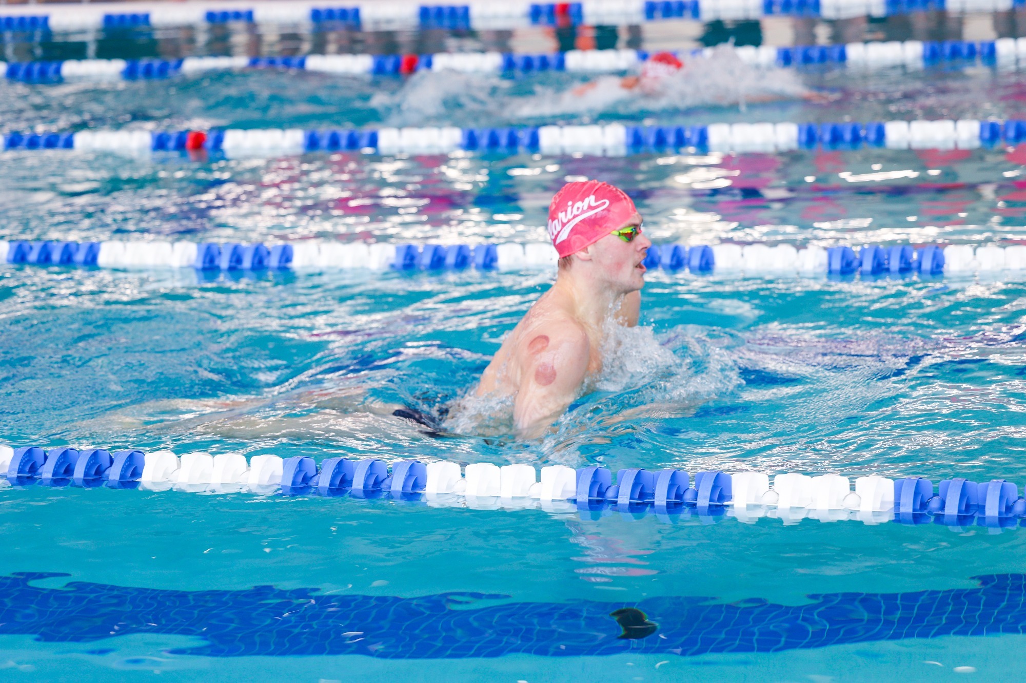 Connor Cary - Swimming & Diving (Men's) - Clarion Athletics