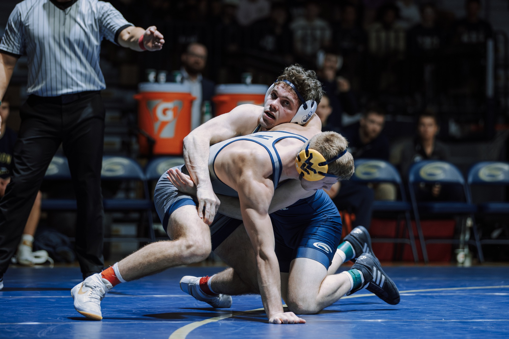 Trevor Elfvin - Wrestling - Clarion Athletics