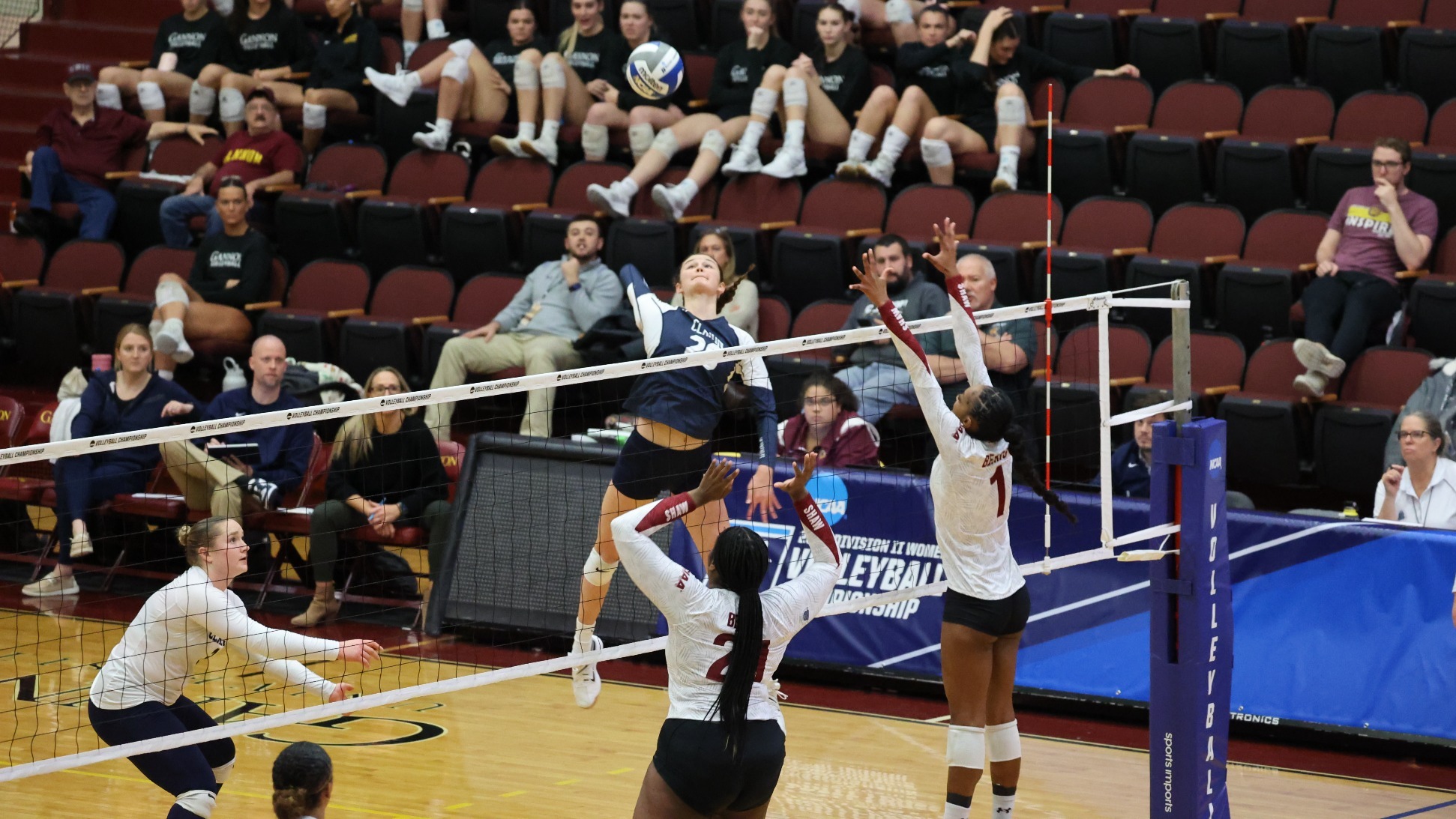 Cassidy Snider - Volleyball - Clarion Athletics