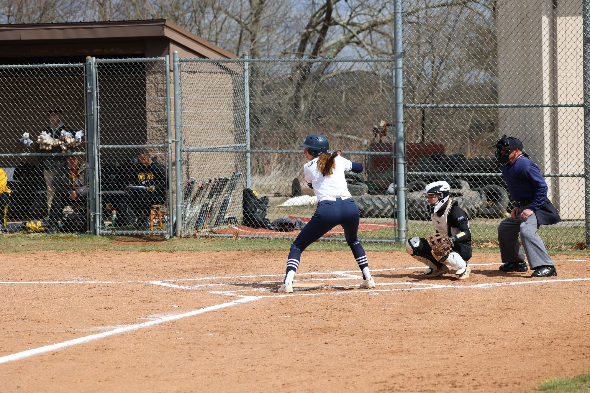 Rachel Helsley - Softball - Clarion Athletics