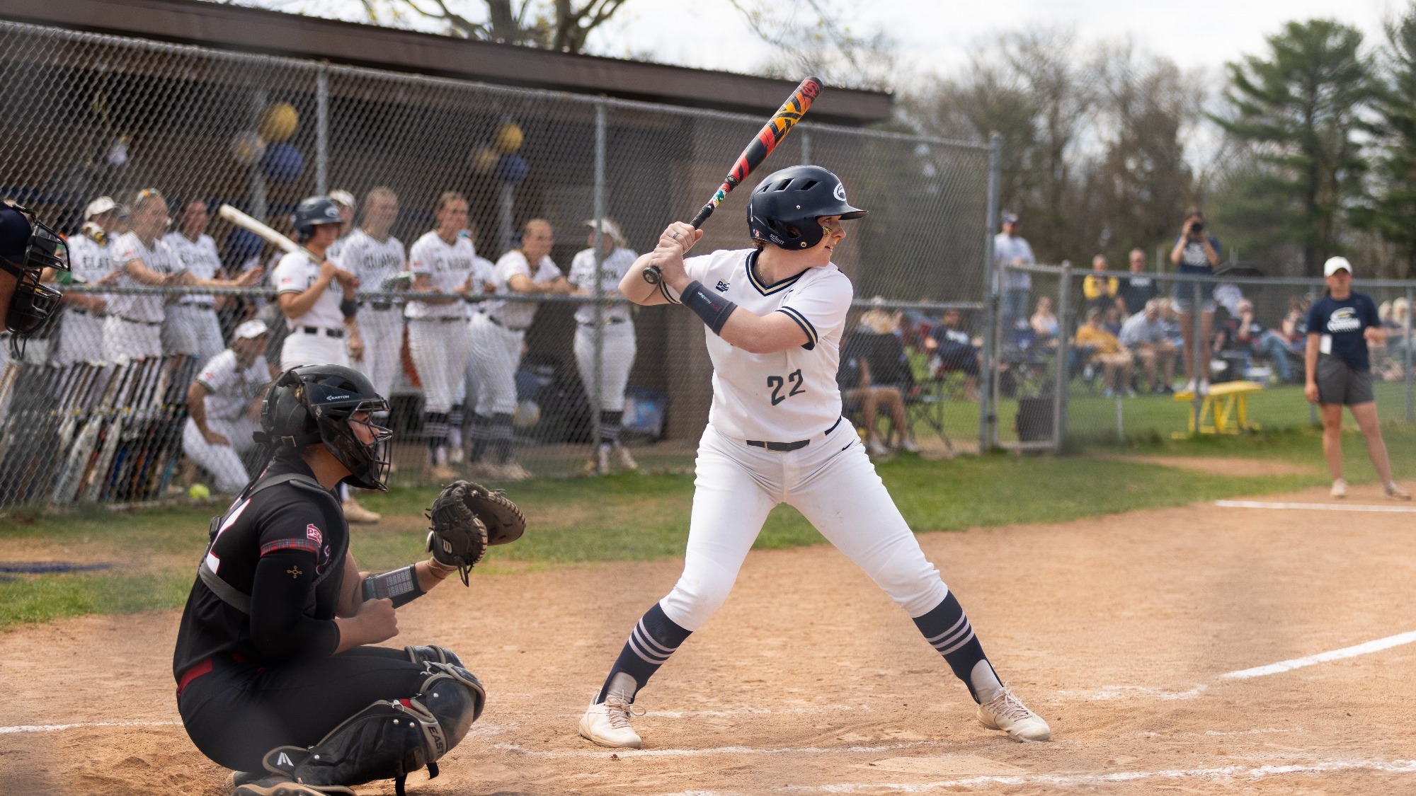 Softball Swept on the Road at California - Clarion Athletics