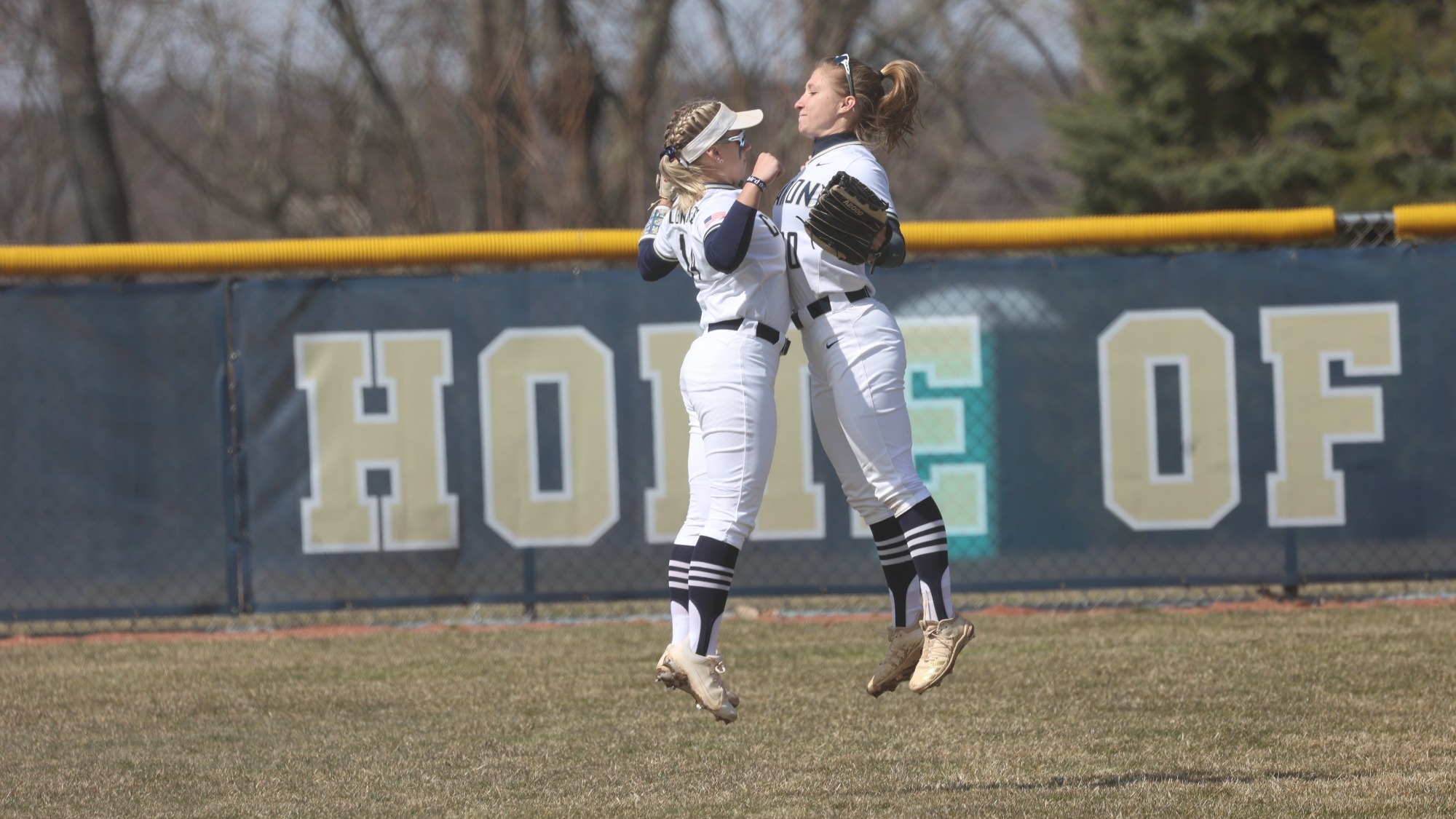 Carissa Giordano - Softball - Clarion Athletics