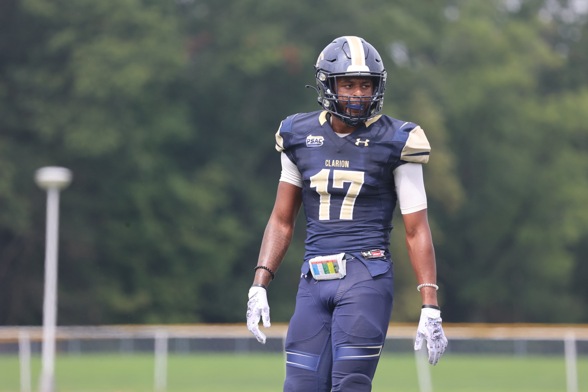 Tony Powell - Football - Clarion Athletics