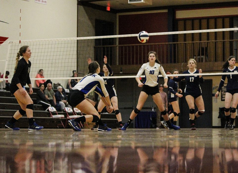 Madison Swanson - 2017 - Women's Volleyball - Clark College Athletics