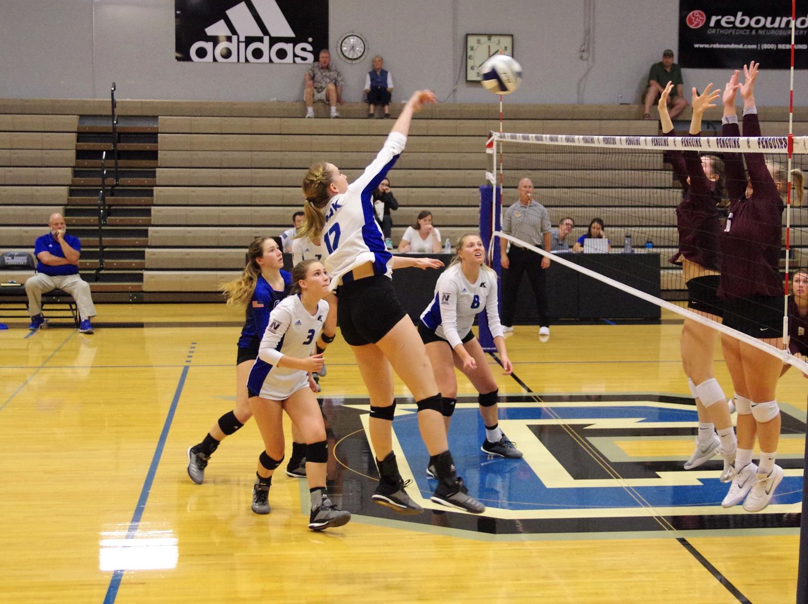 Kayla McLaughlin - 2019 - Women's Volleyball - Clark College Athletics