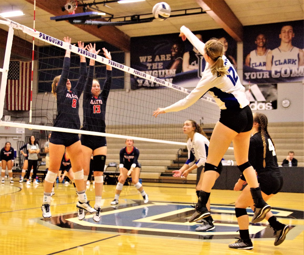 Kayla McLaughlin - 2019 - Women's Volleyball - Clark College Athletics