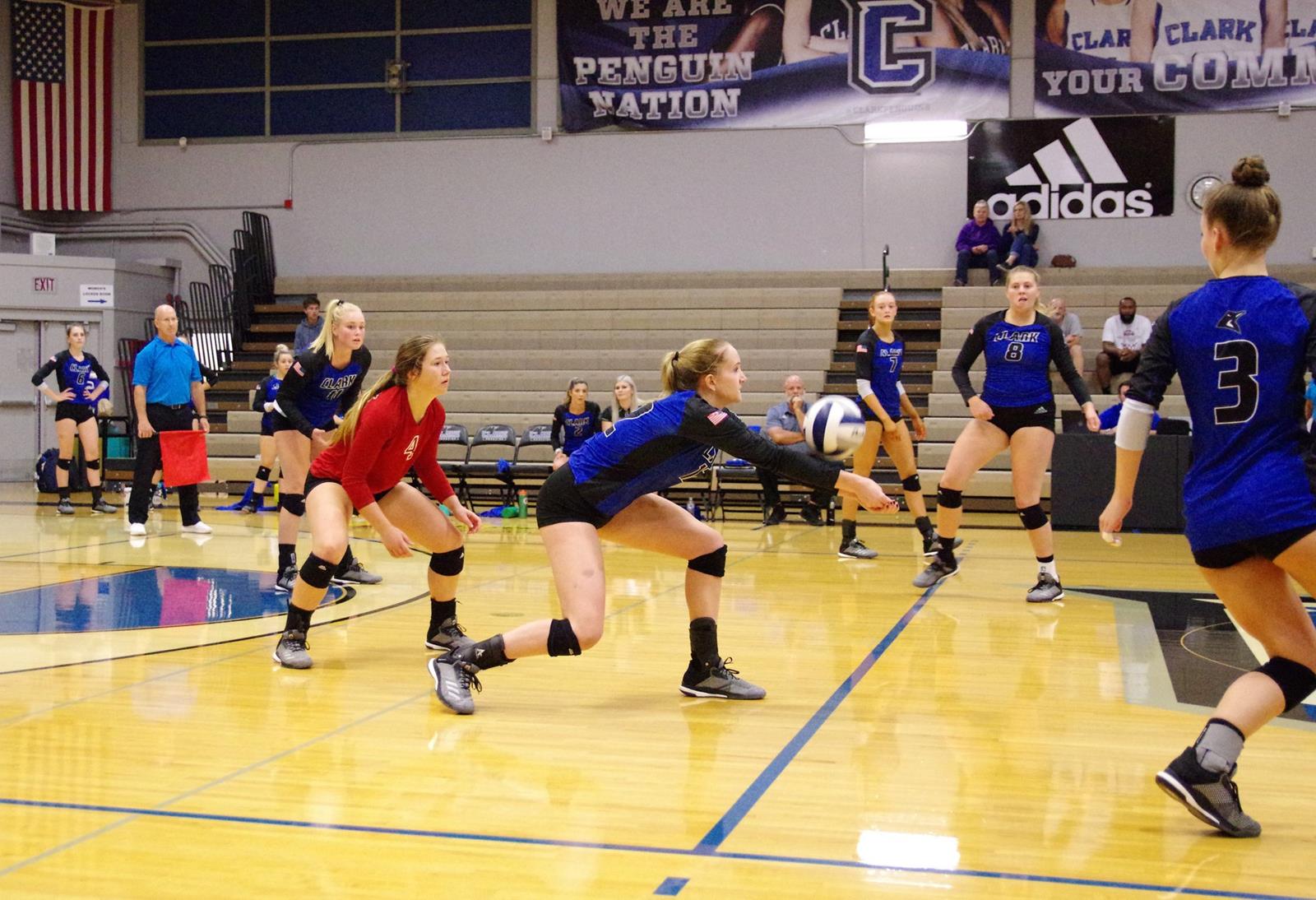 Kayla McLaughlin - 2019 - Women's Volleyball - Clark College Athletics