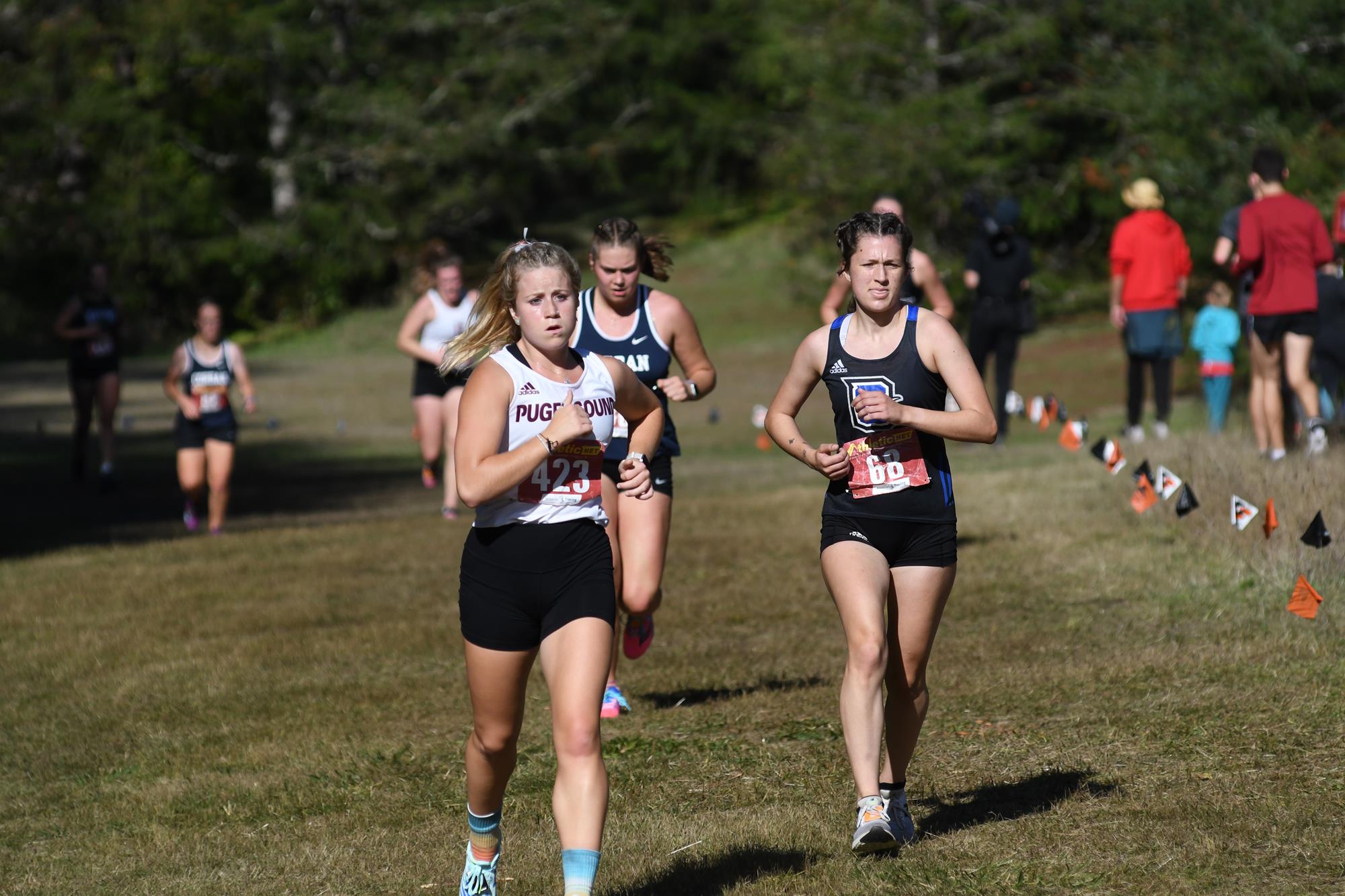 Isabel Carleton - 2021 - Women's XC - Clark College Athletics