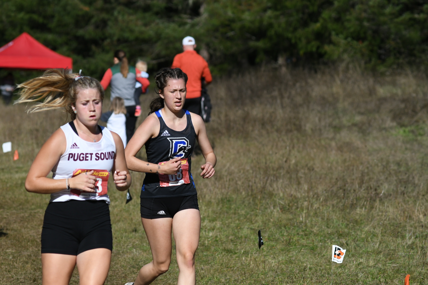 Isabel Carleton - 2021 - Women's XC - Clark College Athletics
