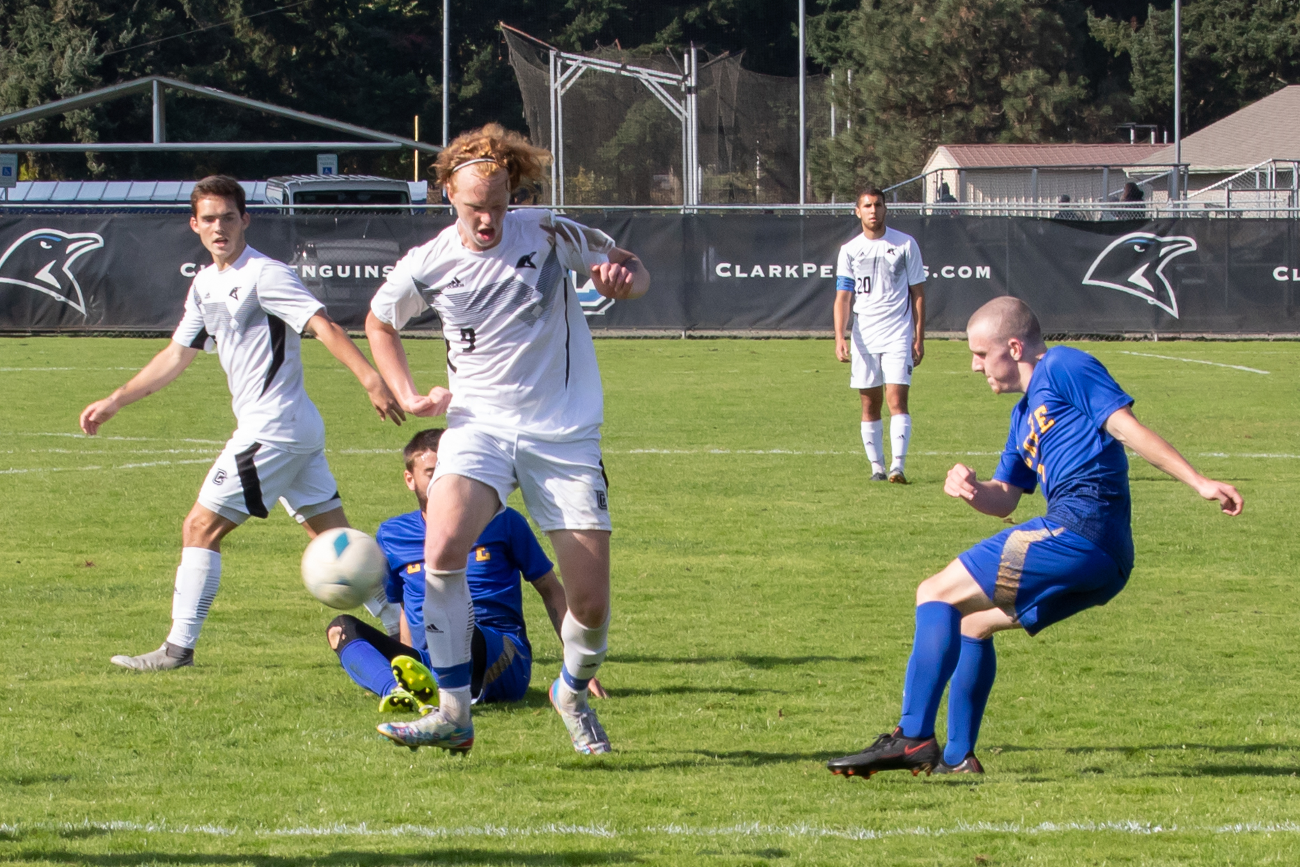 Nathan Purvis - 2021 - Men's Soccer - Clark College Athletics