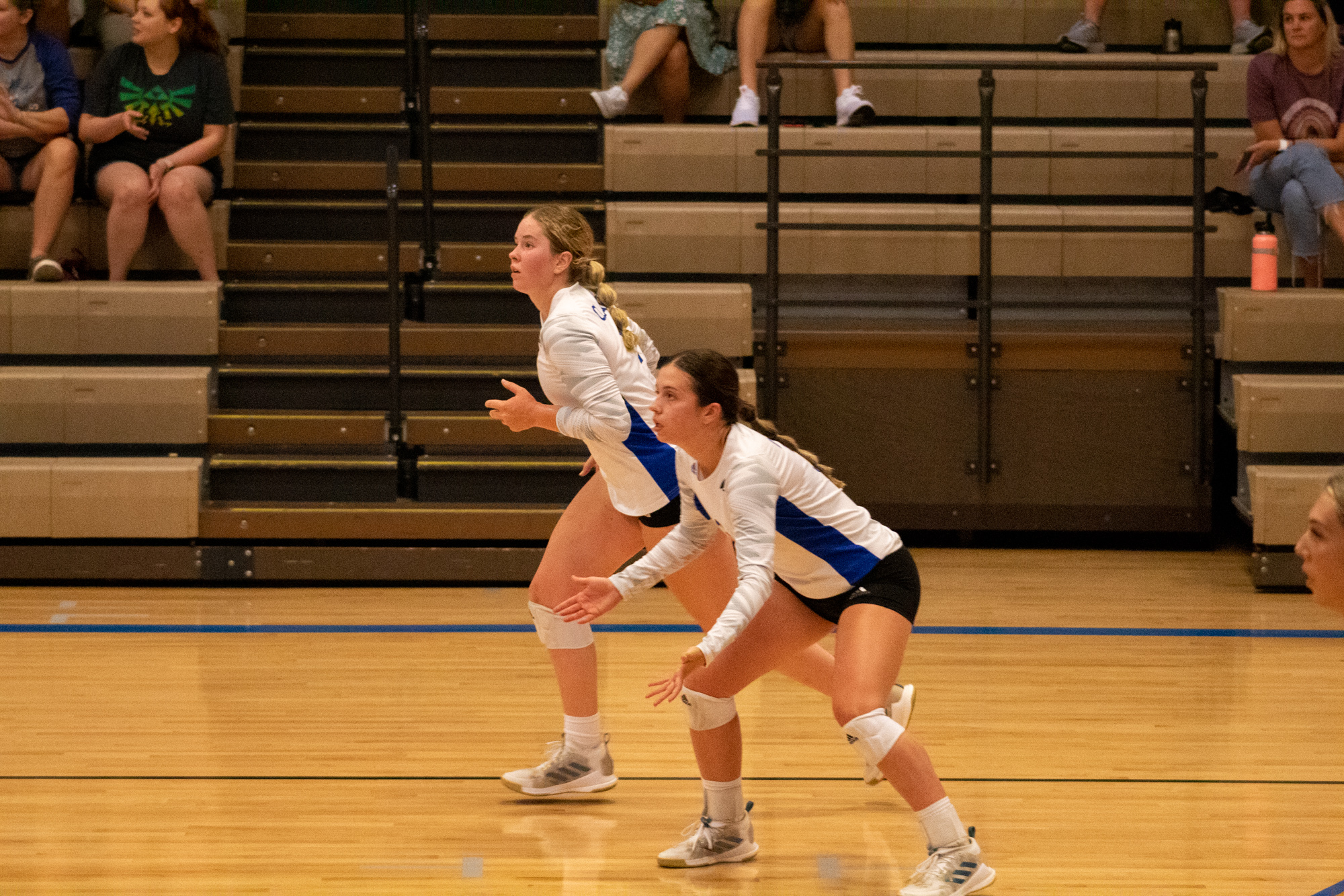 Bryana Barry - 2023 - Women's Volleyball - Clark College Athletics