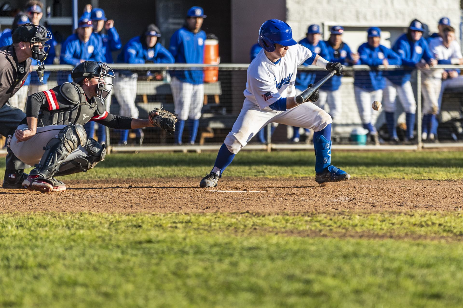 Sy Steele - 2023 - Baseball - Clark College Athletics