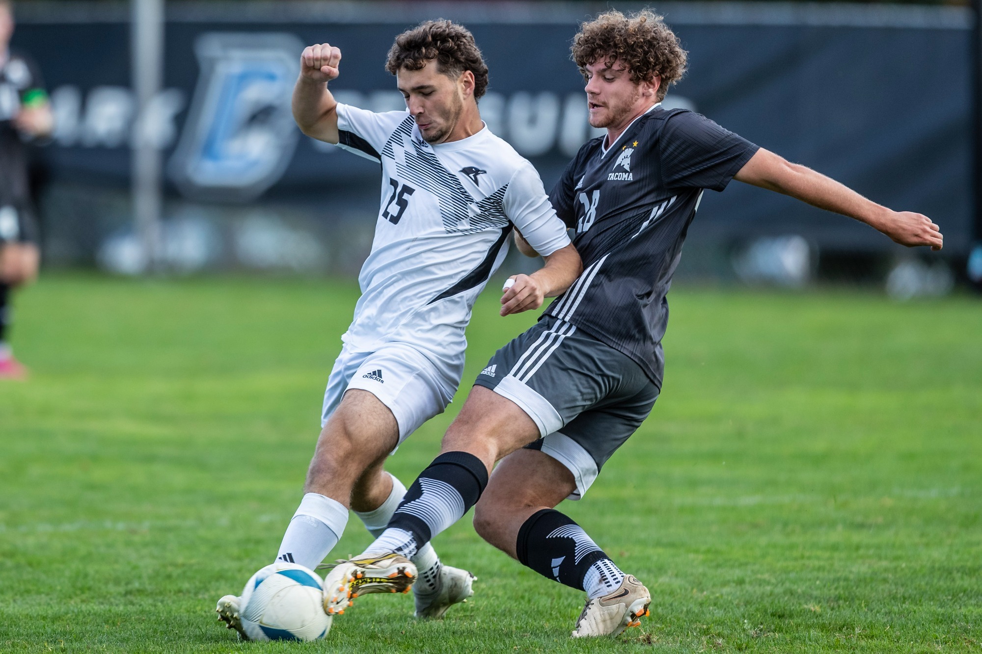 Garik Shevchuk - 2023 - Men's Soccer - Clark College Athletics
