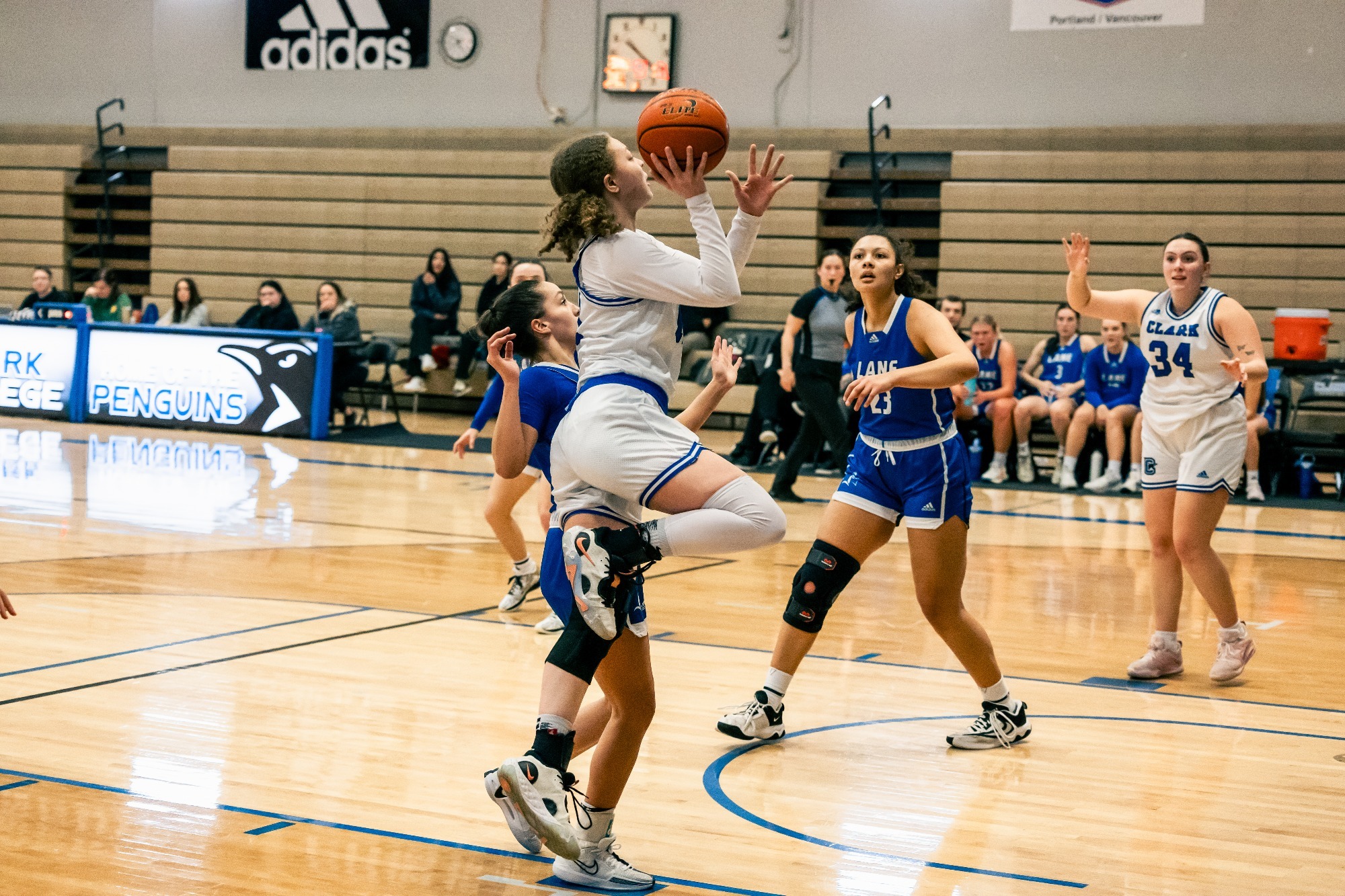 Paytin Ballard - 2023-24 - Women's Basketball - Clark College Athletics