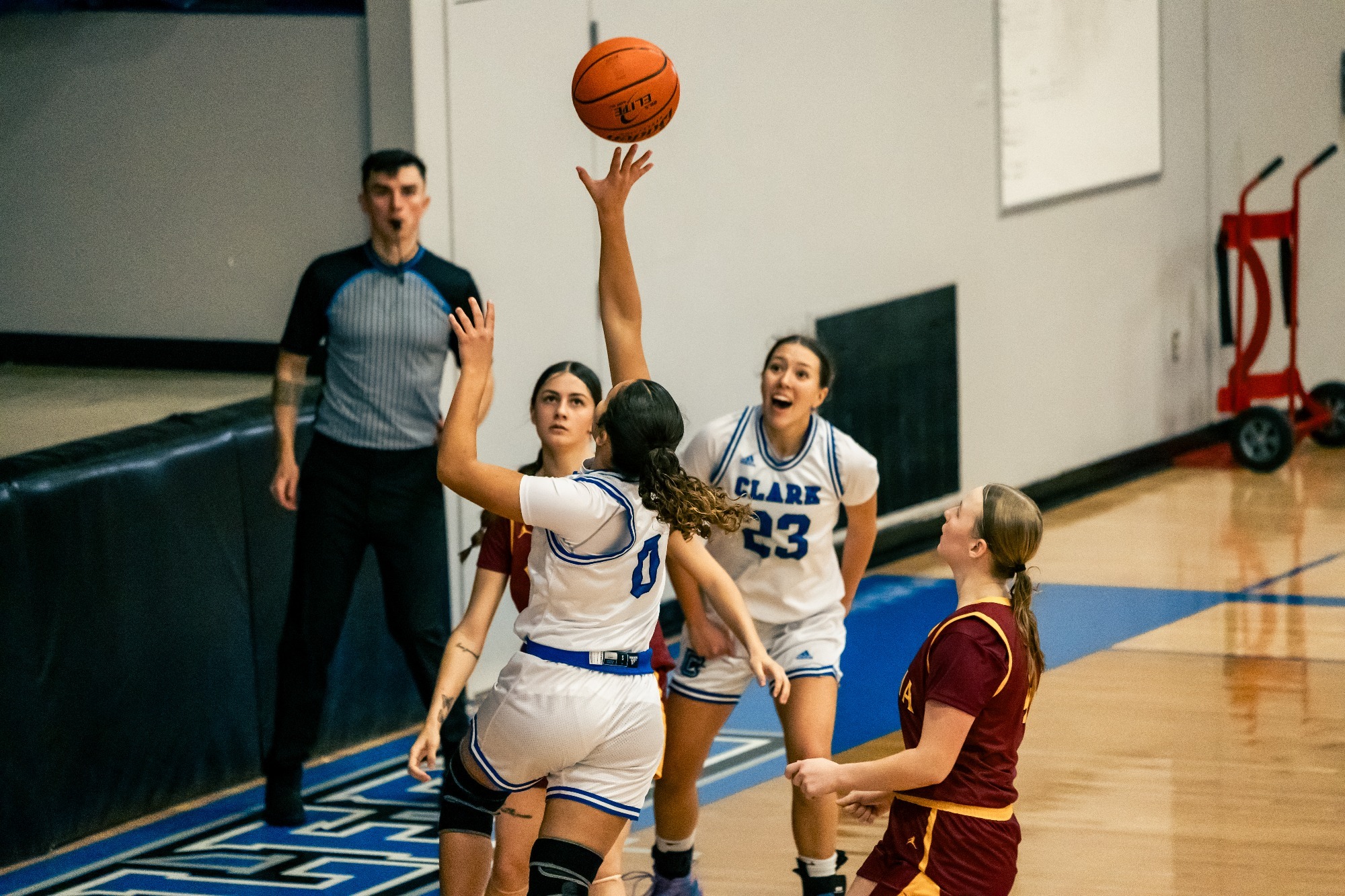 Chloe Johnson - 2023-24 - Women's Basketball - Clark College Athletics