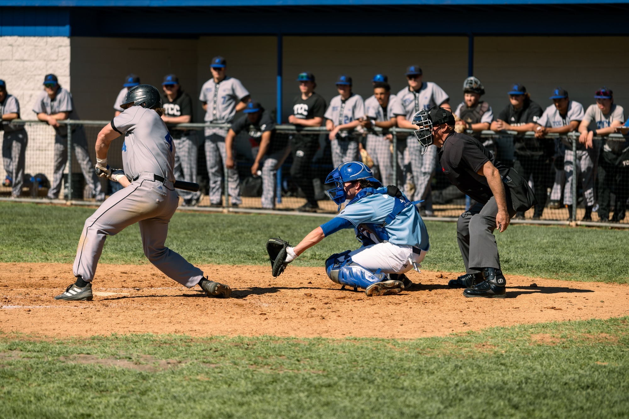 Justin Taylor - 2024 - Baseball - Clark College Athletics