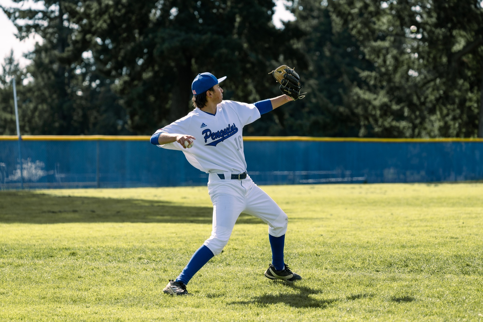 Evan Carrillo - 2024 - Baseball - Clark College Athletics