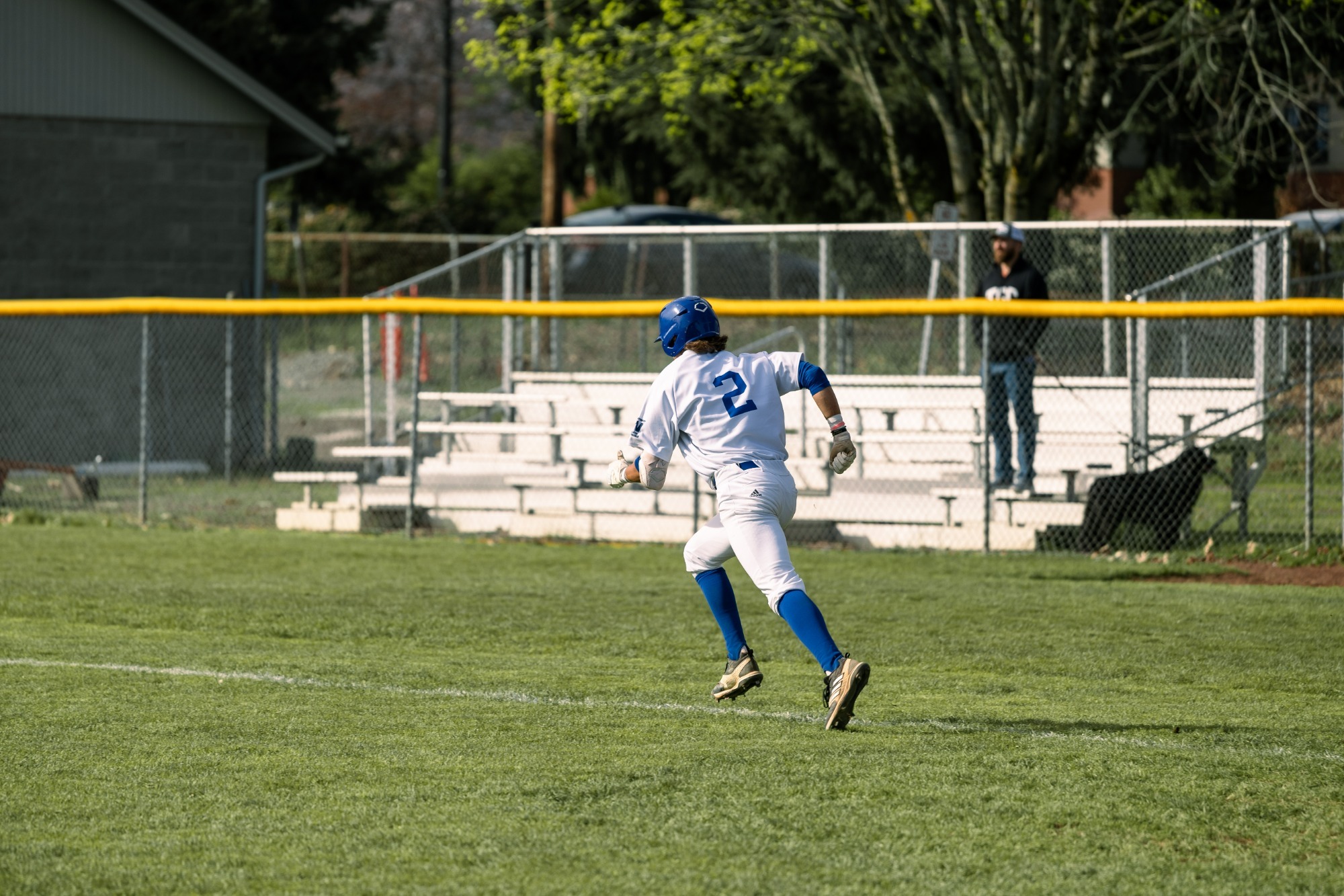 Taydem Neal - 2024 - Baseball - Clark College Athletics
