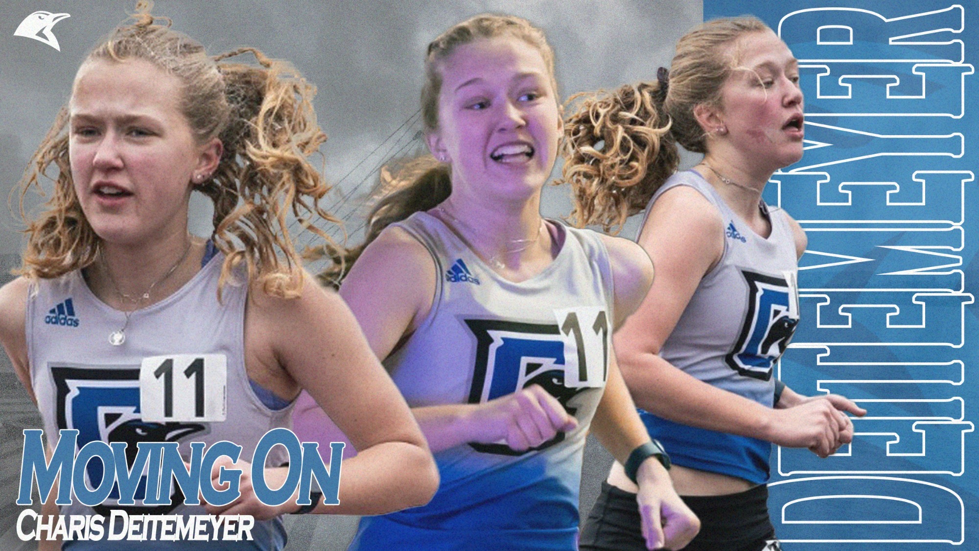 Penguin Finds a New Home - Clark College Athletics