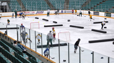 Clarkson Hockey summer development camp August 2nd - 6th - Clarkson ...