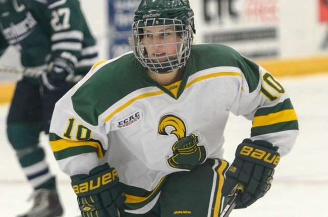 Brittany Styner - Women's Hockey - Clarkson University Athletics