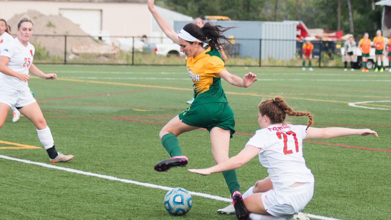 Camryn Careccia - Women's Soccer - Clarkson University Athletics