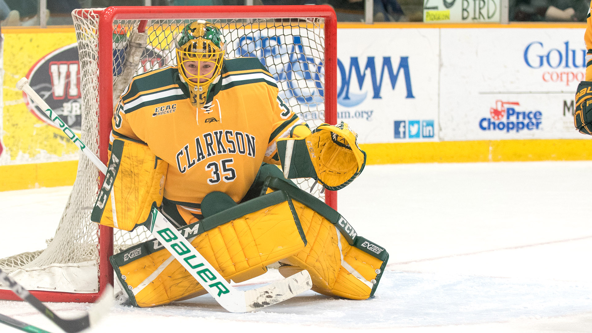 Shea Tiley - Women's Hockey - Clarkson University Athletics