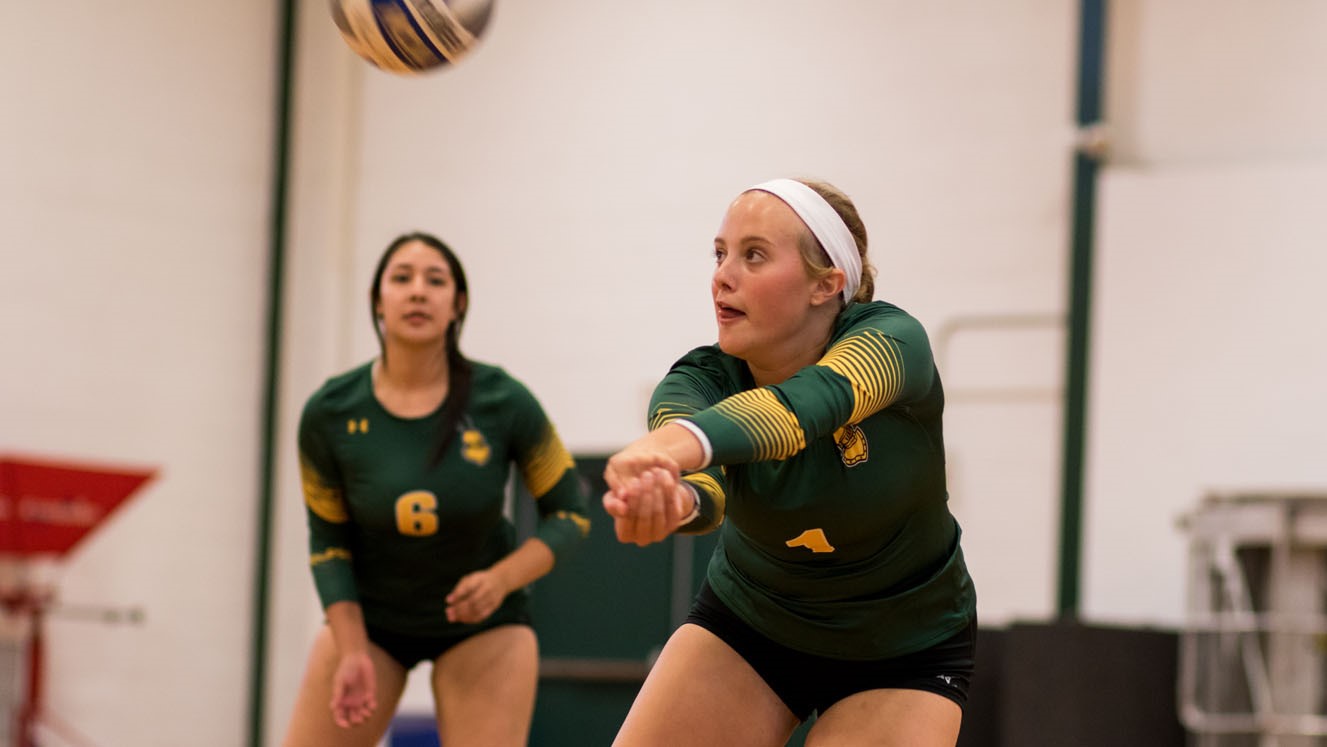 Grace Mayer - Women's Volleyball - Clarkson University Athletics