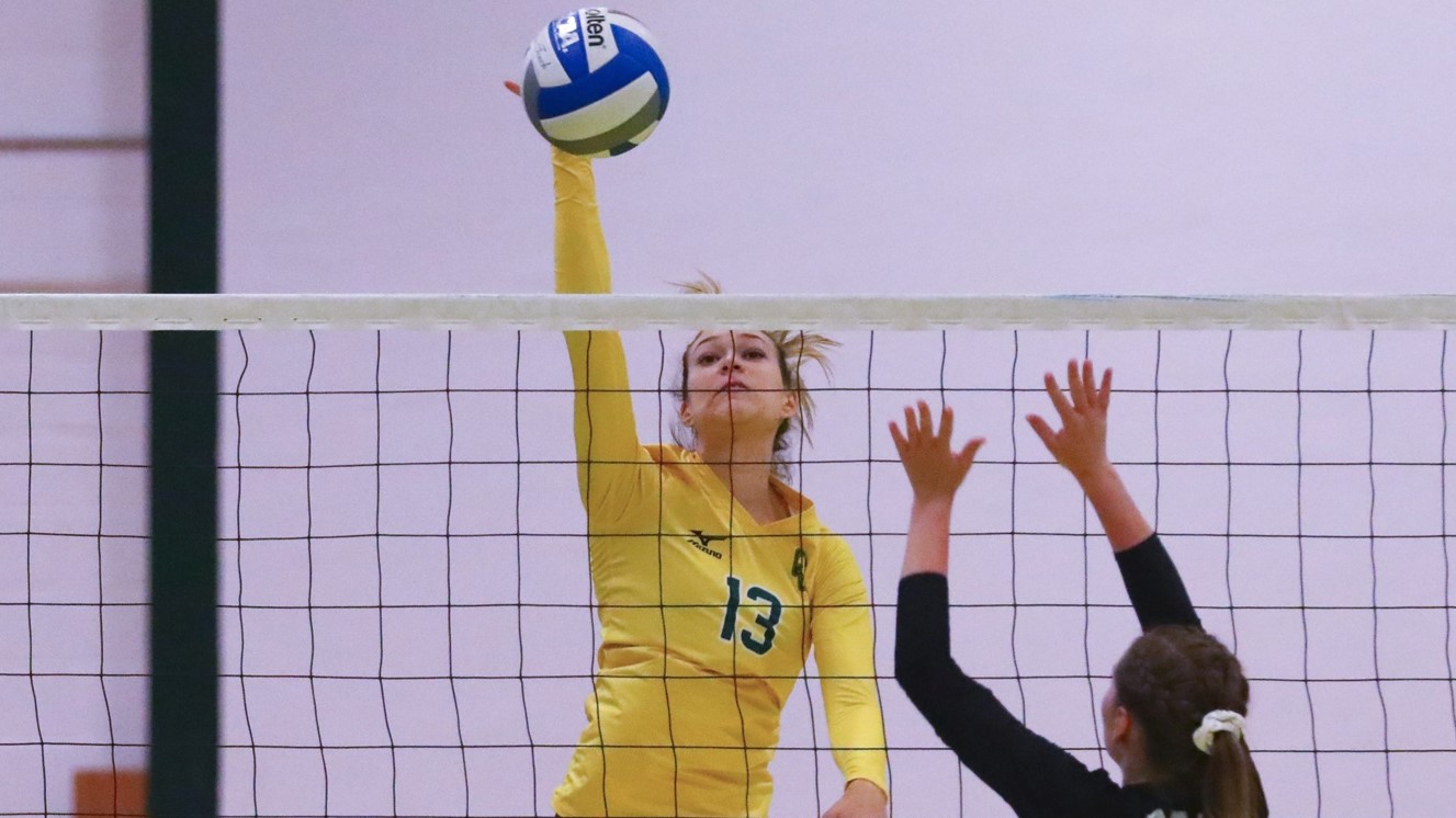 Ivy Martin - Women's Volleyball - Clarkson University Athletics