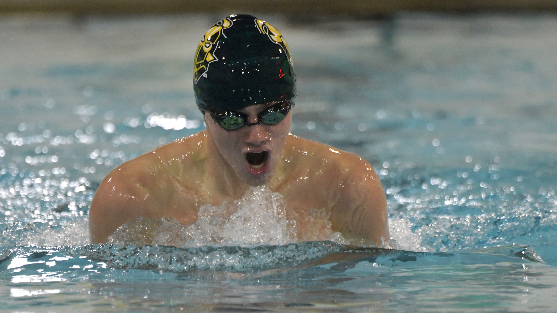 Clarkson Swimmers & Divers Sweep Second Straight Dual Meet - Clarkson ...