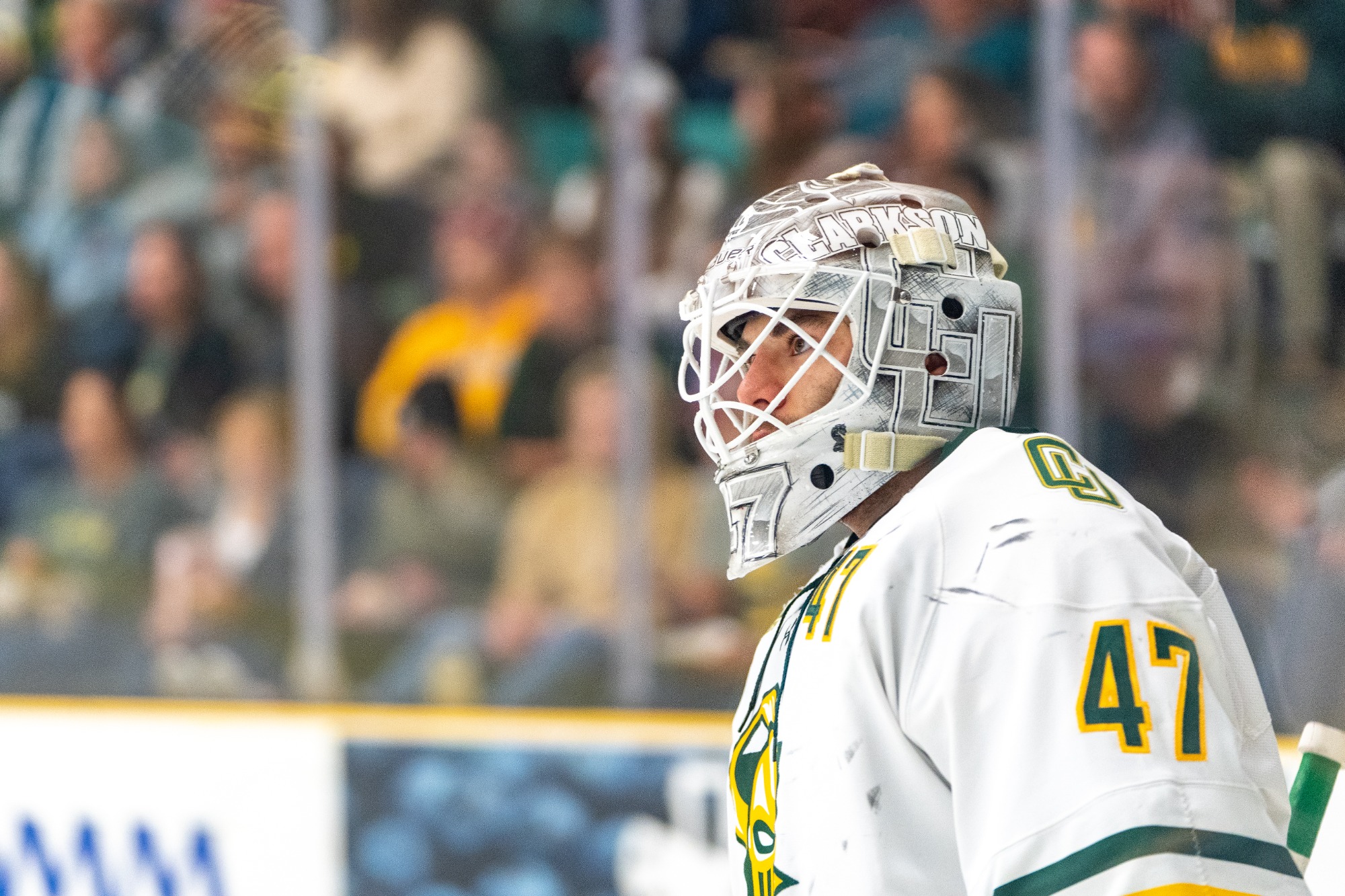Ethan Haider - Men's Hockey - Clarkson University Athletics