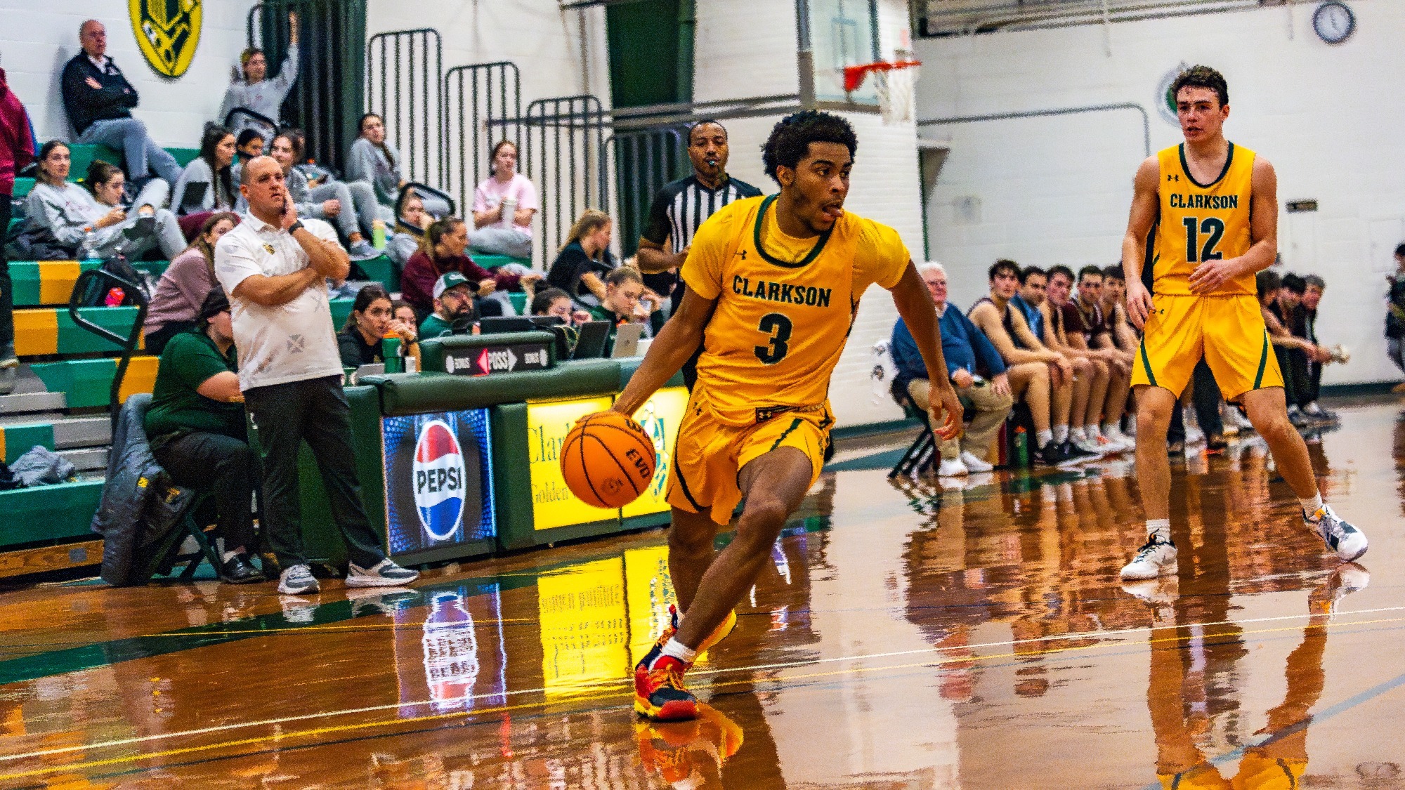 Ryan Miles-Ferguson - Men's Basketball - Clarkson University Athletics