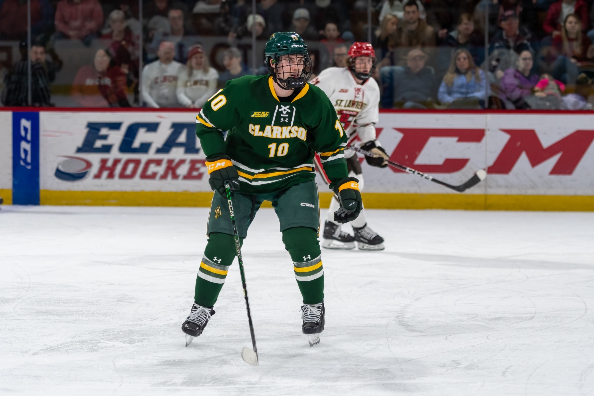 Knights' Conference Winning Streak Snapped Versus RPI - Clarkson ...