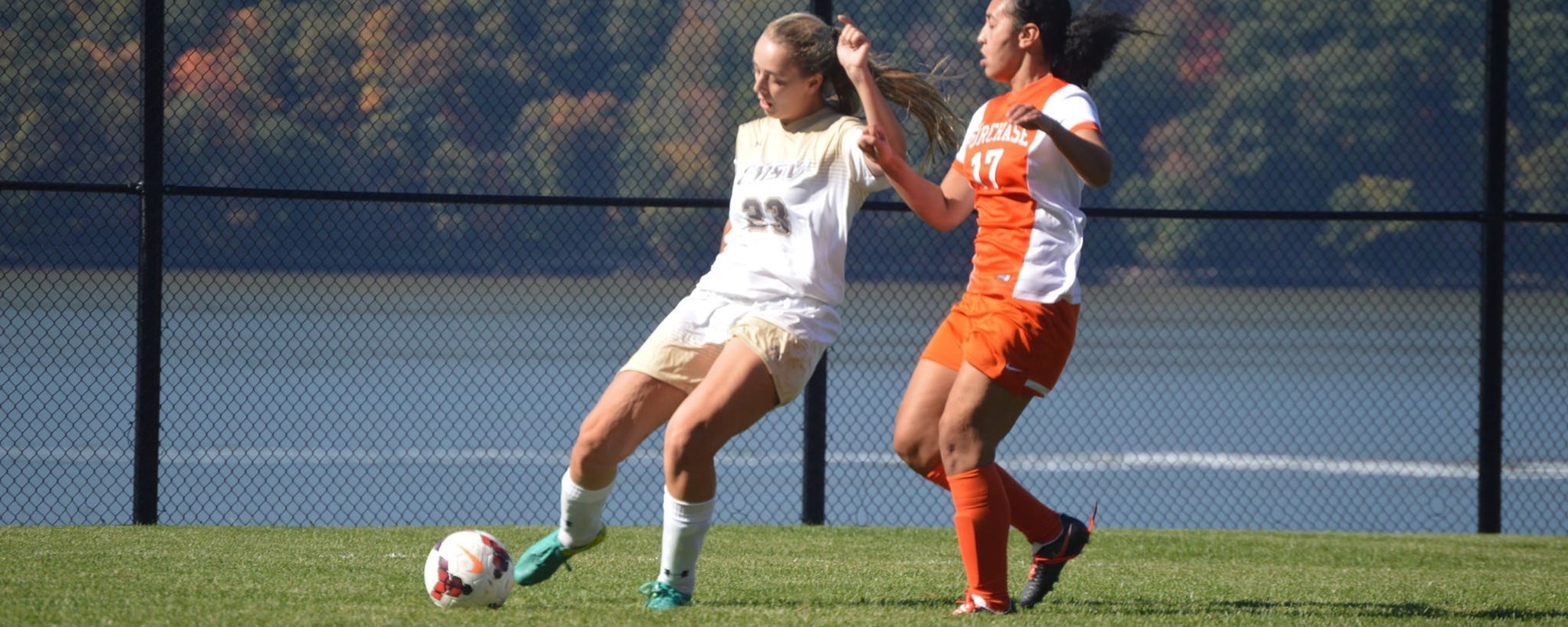 Meaghan Cleary - 2018 - Women's Soccer - University of Mount Saint ...