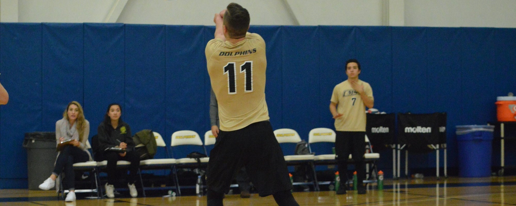Neven Skoblar - 2018 - Men's Volleyball - University of Mount Saint ...