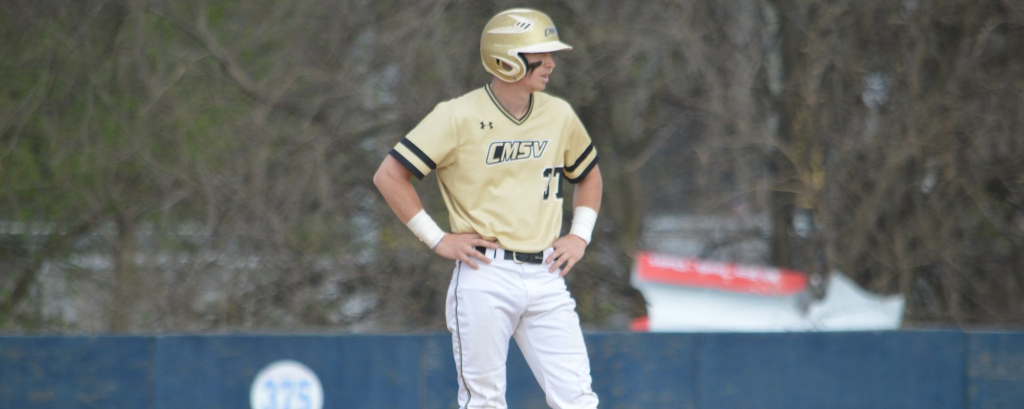 Michael Kochen - 2018 - Baseball - University of Mount Saint Vincent ...