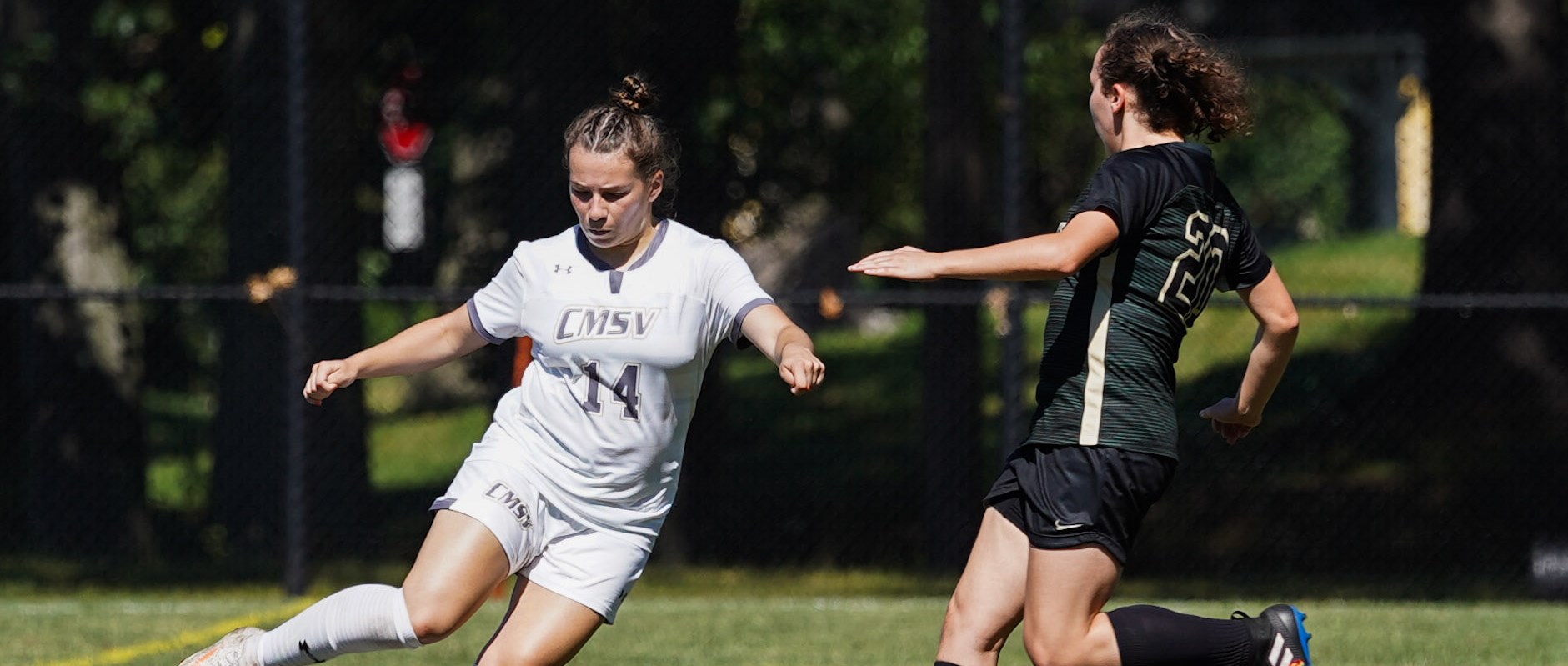 Dolphins Struggle In Skyline Showdown With Gryphons - University of ...