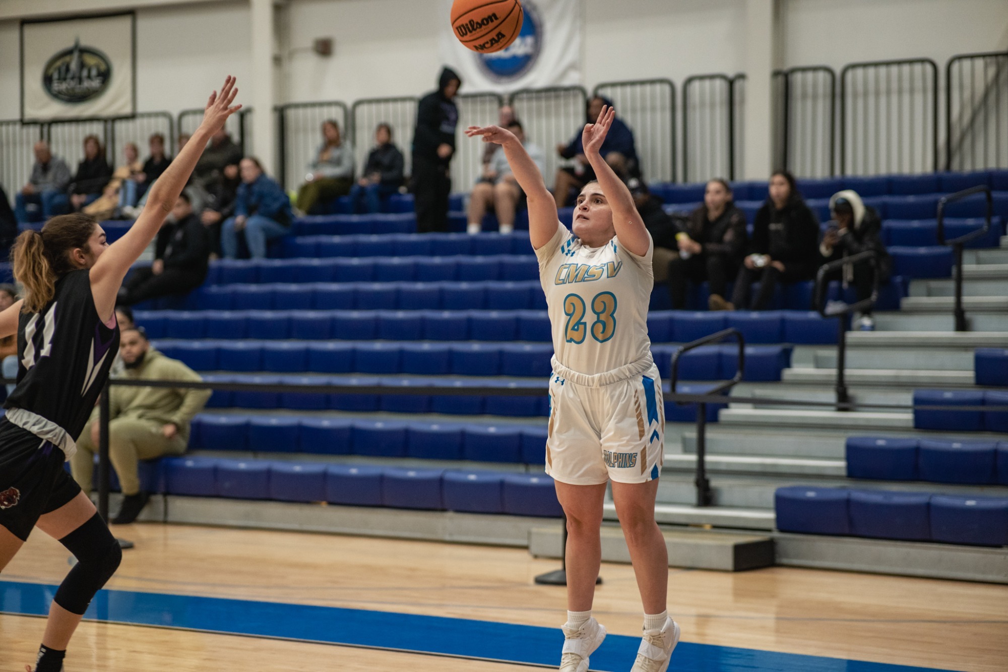 Buzzer Beater Puts Rams Over Dolphins In Skyline Opener - University of ...