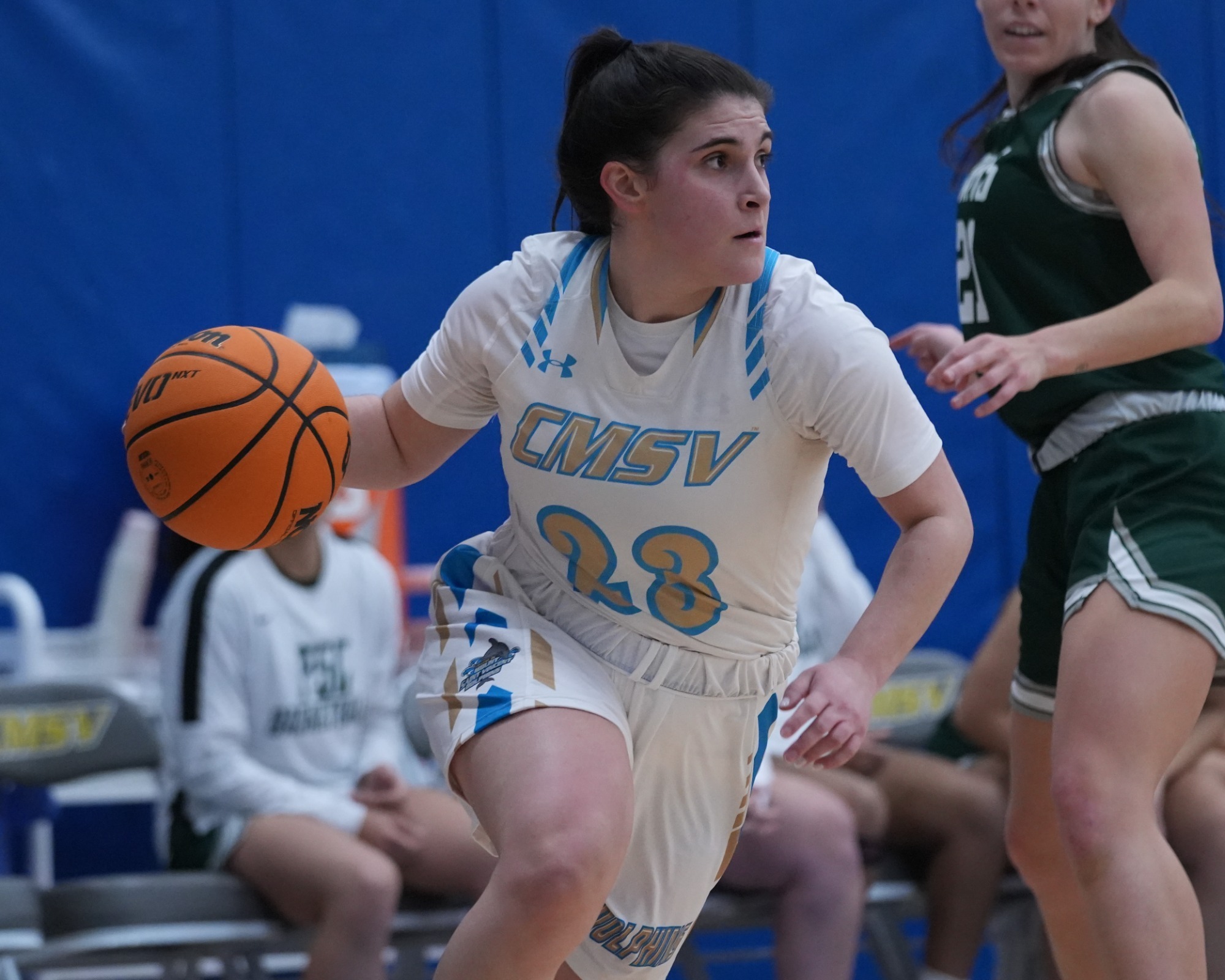 Resilient Dolphins Go Toe To Toe With Mariners - University of Mount ...