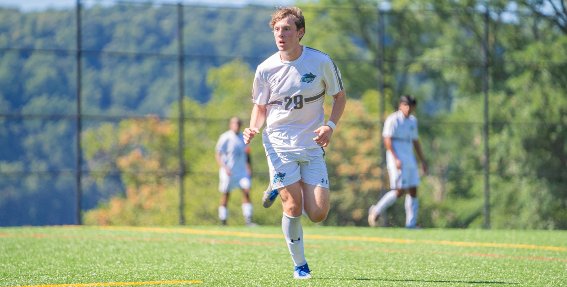 Four Goal Effort Pushes Dolphins Past Panthers For Third Straight ...