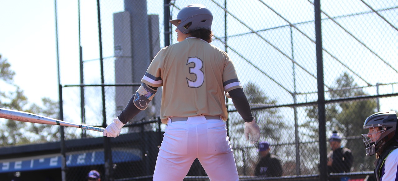 News 12 The Bronx Features CMSV's Fay Field - University of Mount Saint ...