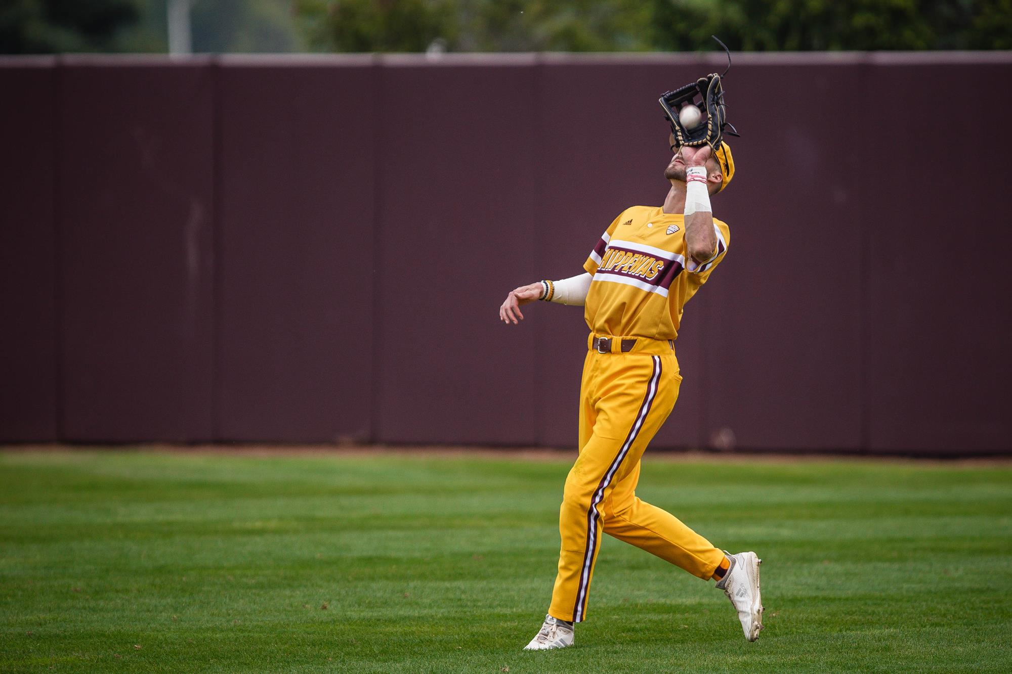 Jacob Crum - Baseball - Central Michigan University Athletics