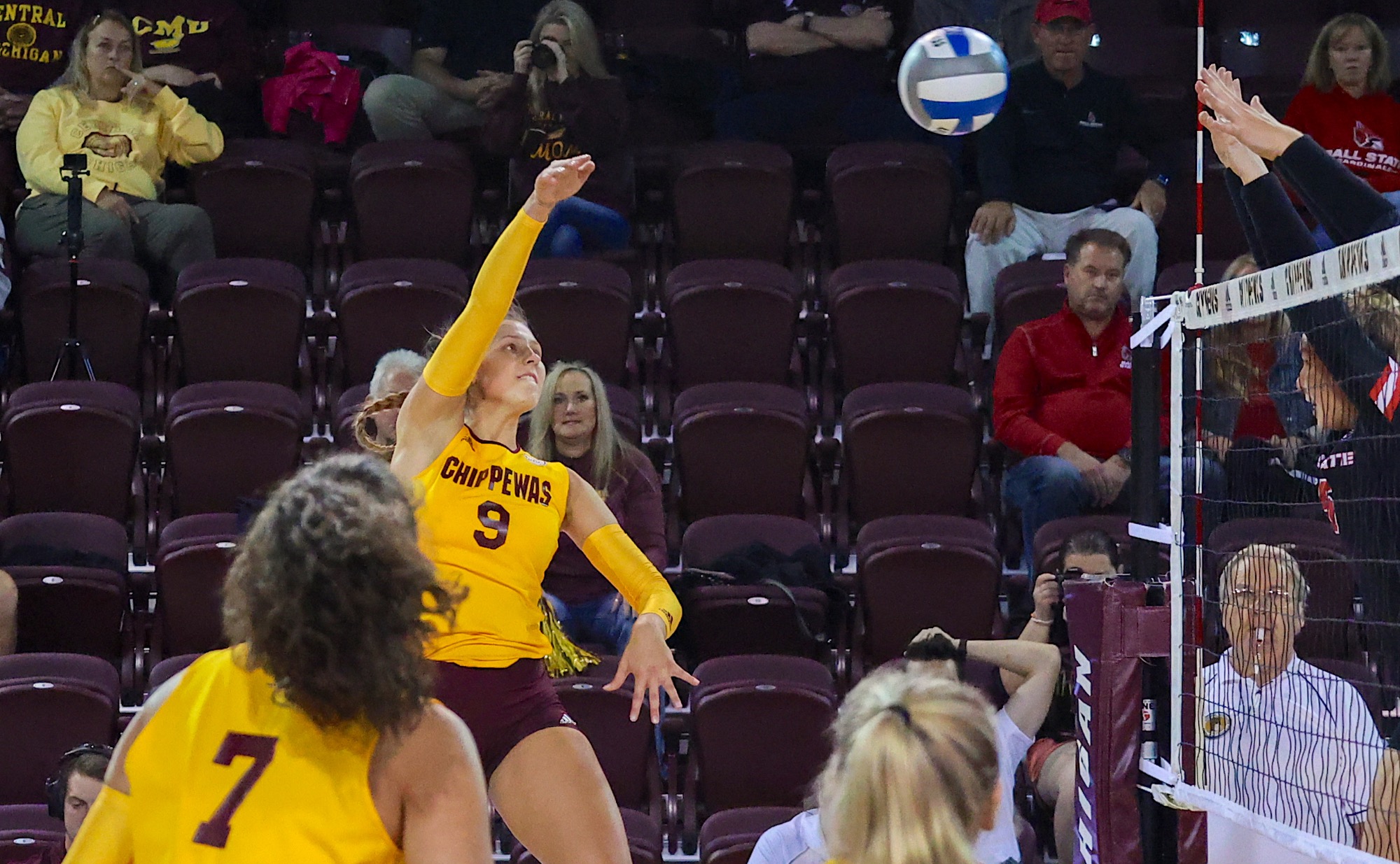 Anna Erickson - Volleyball - Central Michigan University Athletics