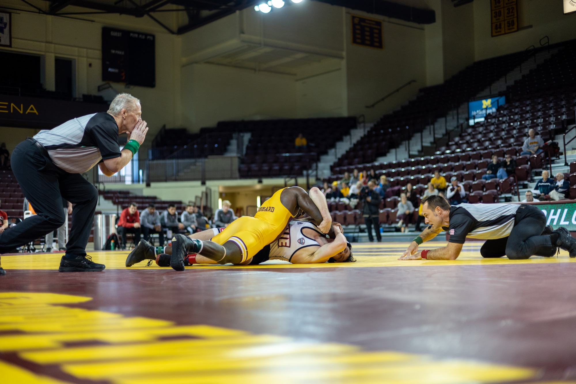 Tracy Hubbard - Wrestling - Central Michigan University Athletics