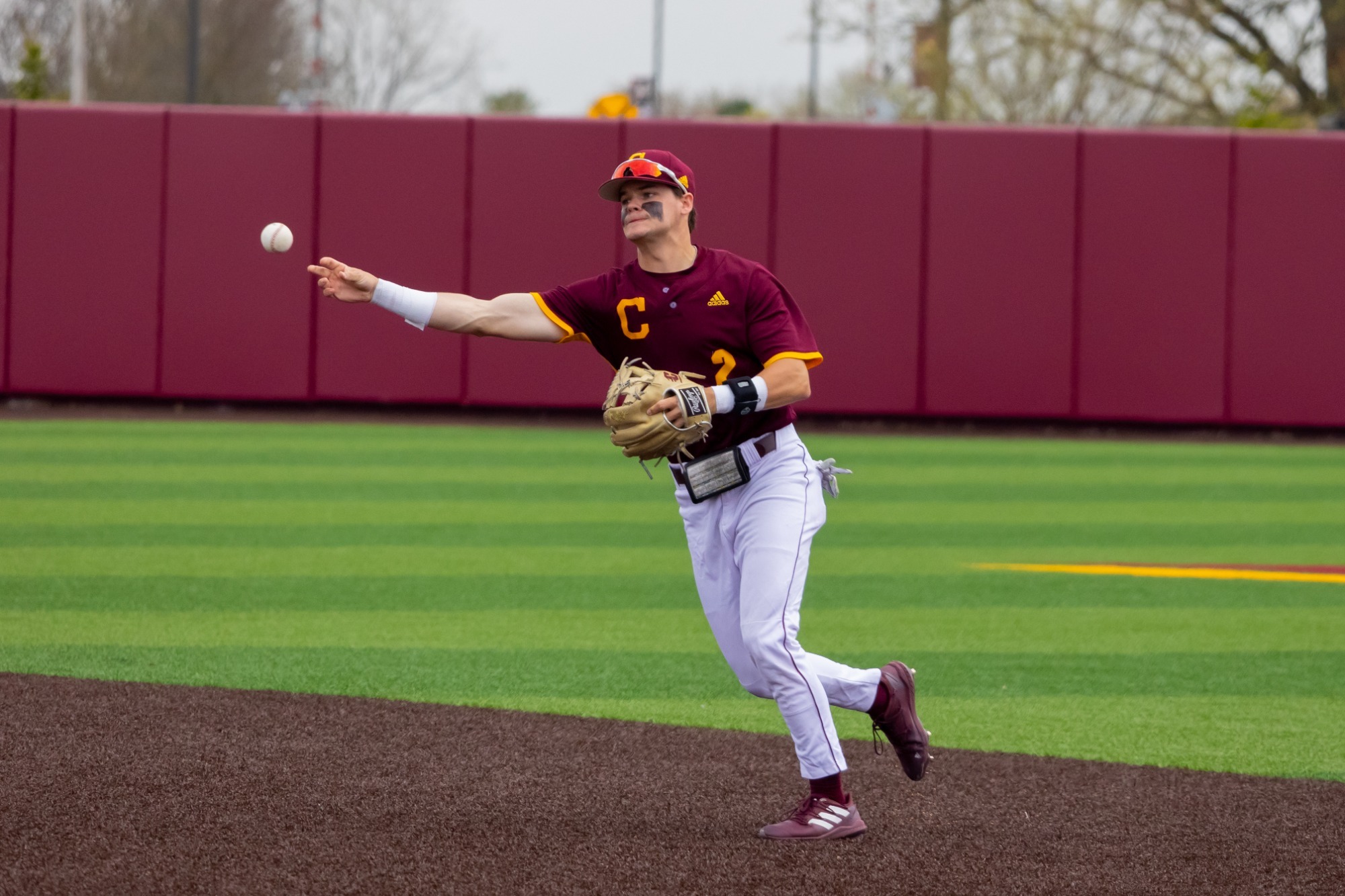 Luke Sefcik - Baseball - Central Michigan University Athletics