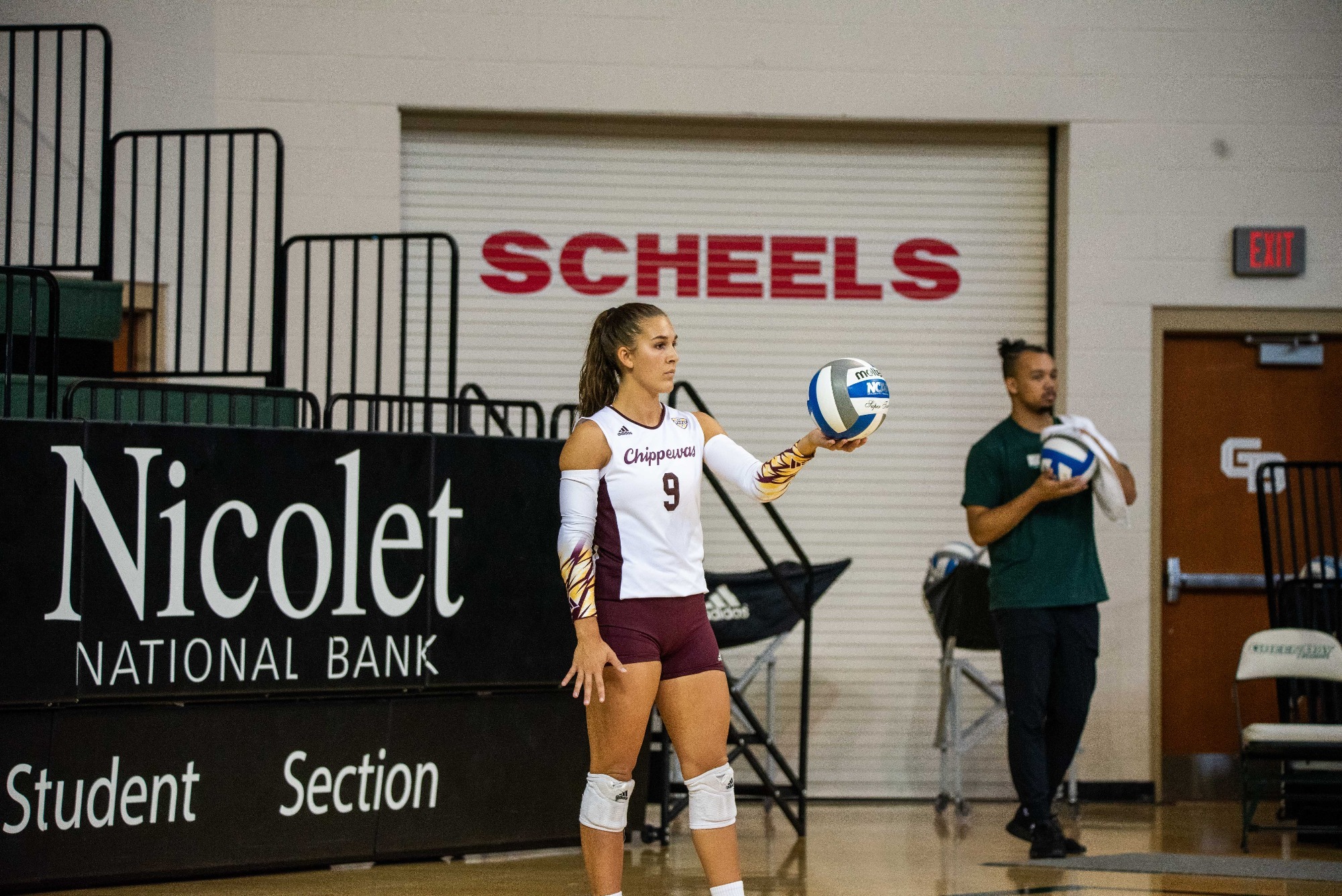 Alina Anderson - Volleyball - Central Michigan University Athletics